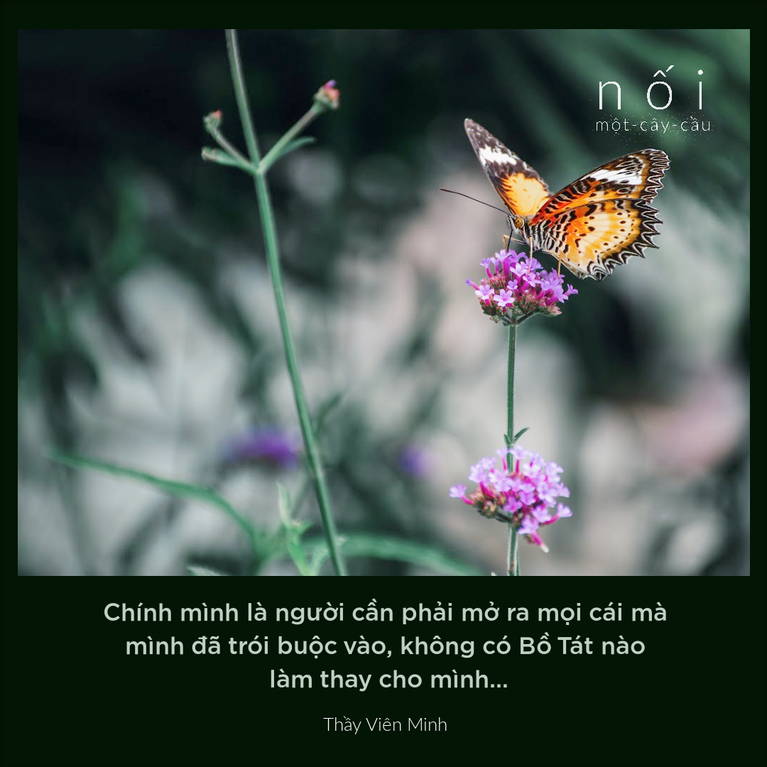 CÁI KÉN VÀ CON BƯỚM – nối-một-cây-cầu